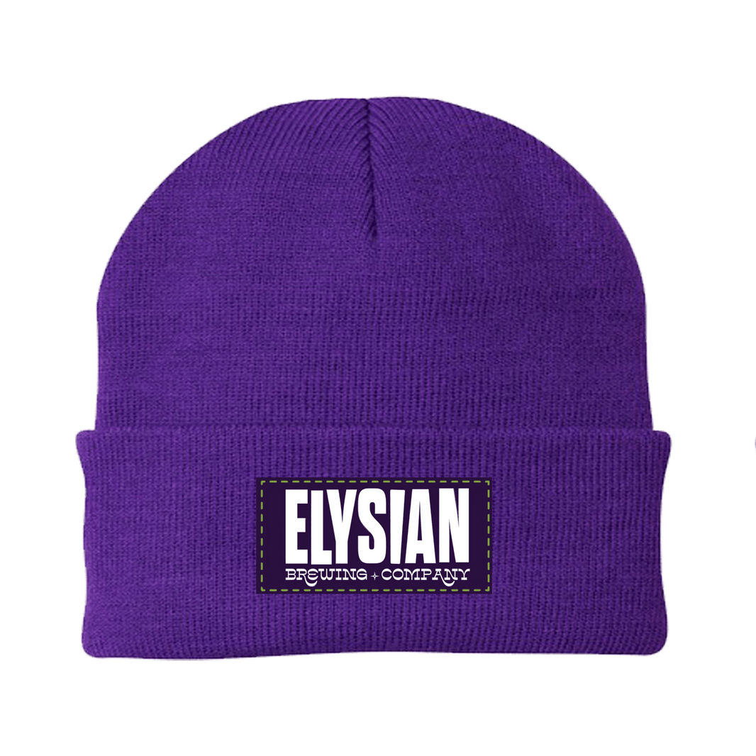 THE SPACE DUST COLLECTION – Elysian Brewing Company